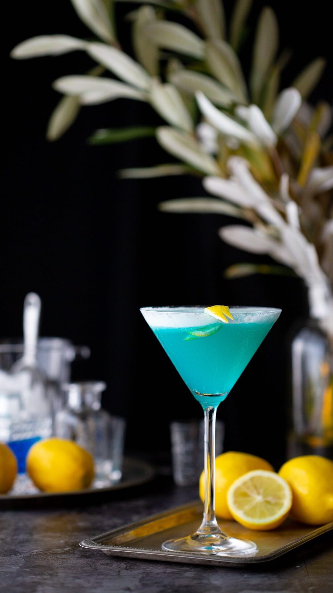 springbok ragù with pappardelle